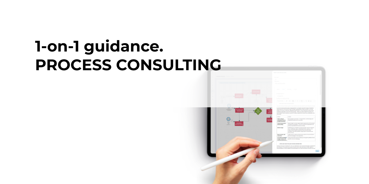 Process Consulting | Navigate Complex Processes | Process Space